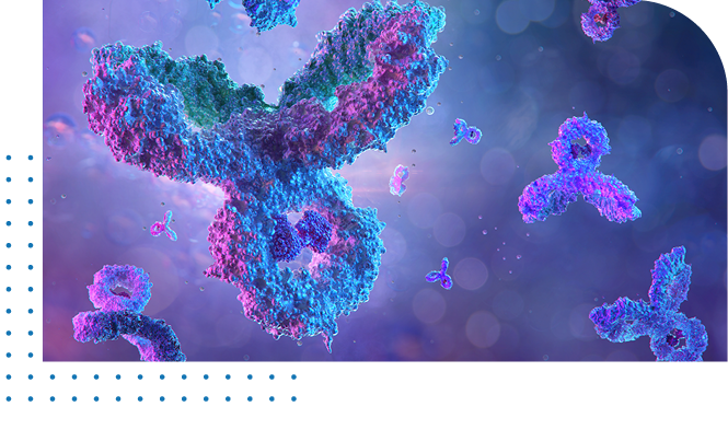 Protein Dynamic Solutions | Applications