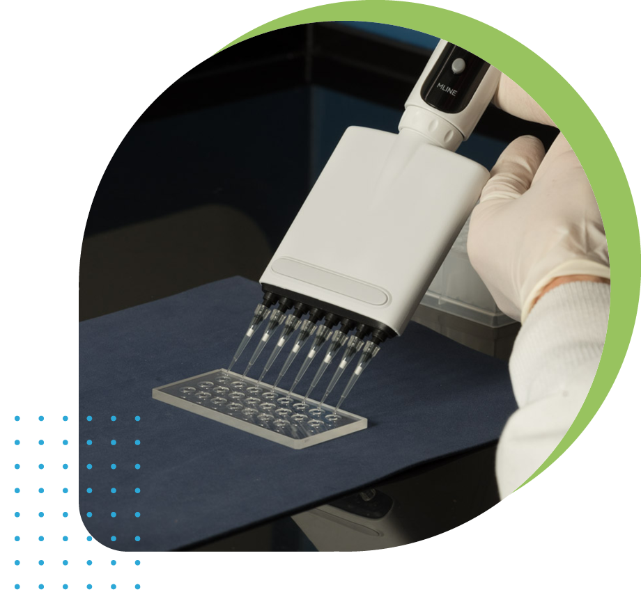 Protein Dynamic Solutions